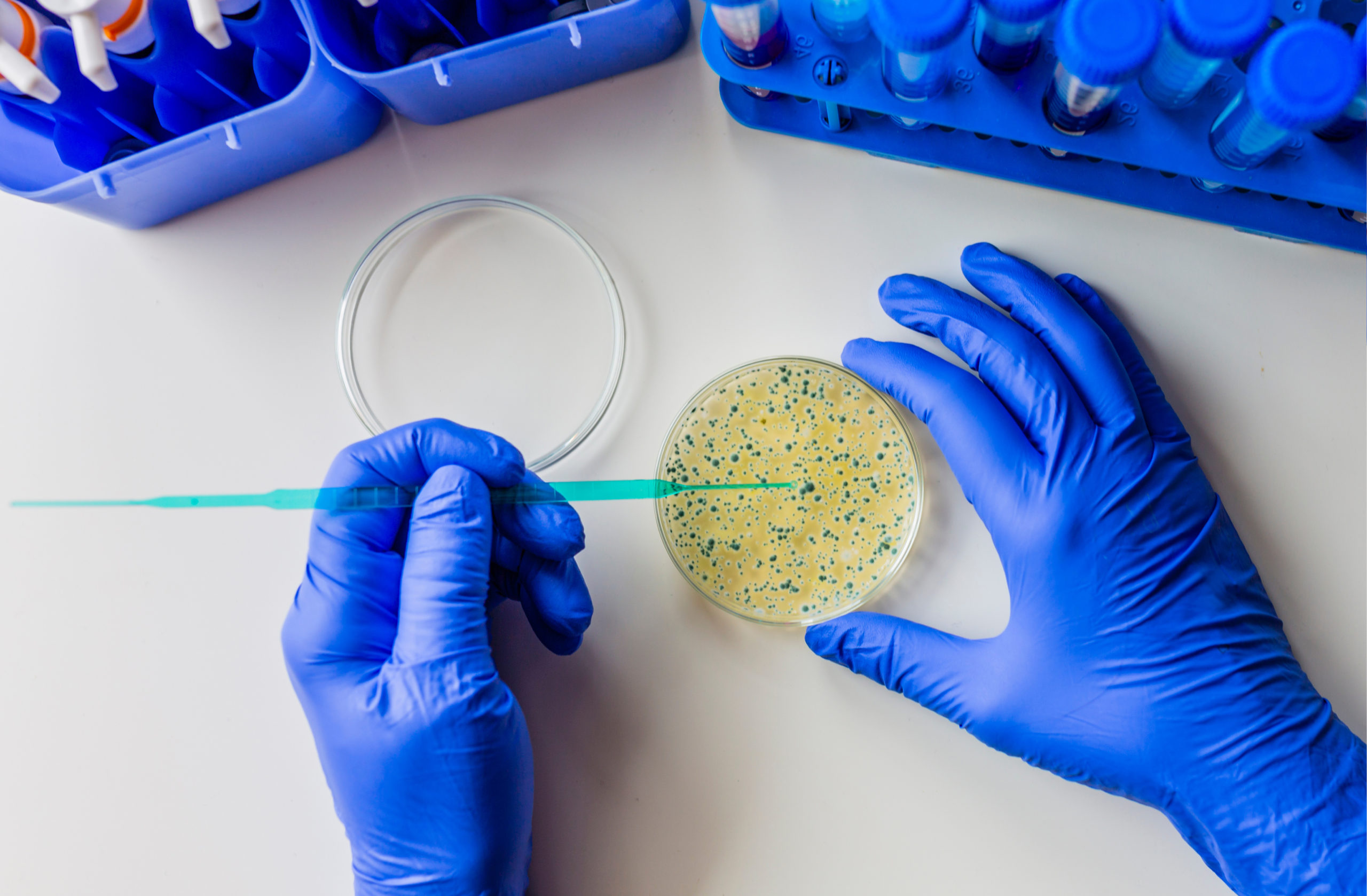 HSI Surface Materials & Products Certification Program - Healthcare ...